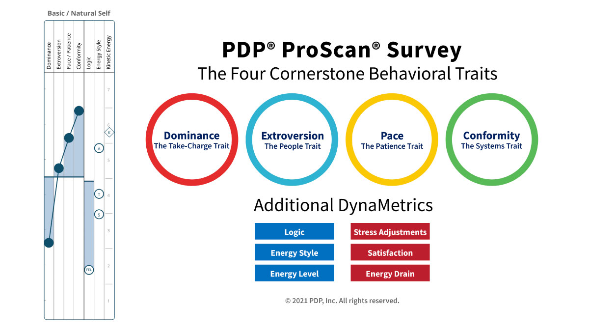 PDP Behavioral Assessments vs DiSC Personality Tests | PDP Global