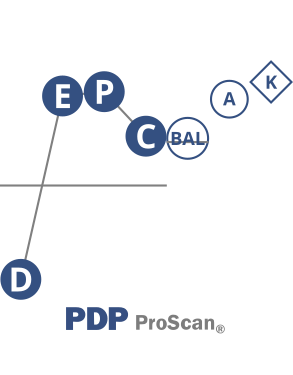 Meet the PDP Team & Join Our Team