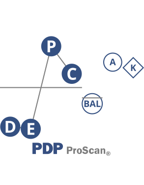 Meet the PDP Team & Join Our Team