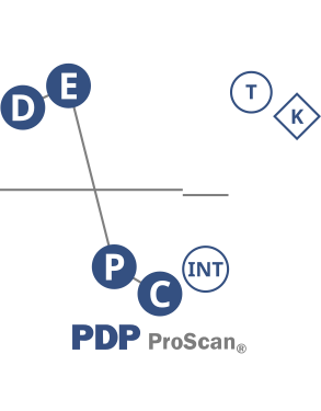 Meet the PDP Team & Join Our Team