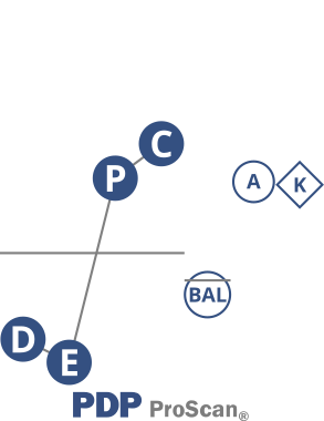 Meet the PDP Team & Join Our Team