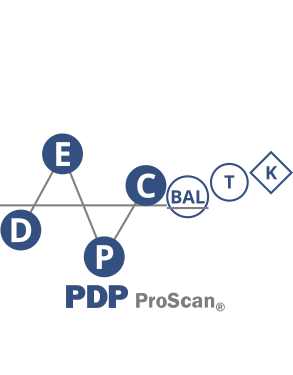 Meet the PDP Team & Join Our Team