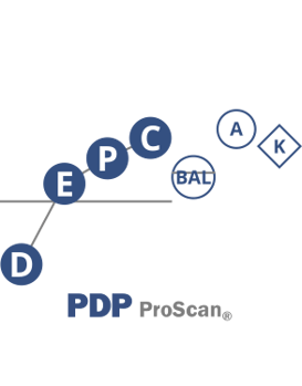 Meet the PDP Team & Join Our Team