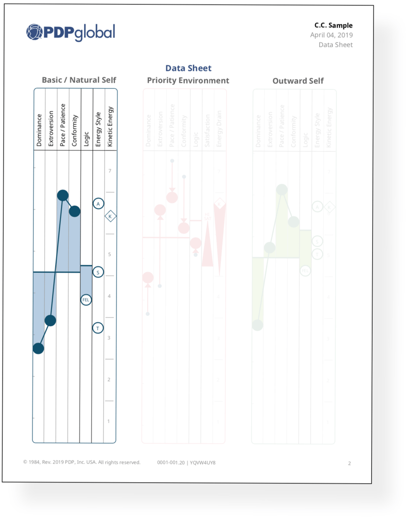 PDP Client APIs Integration | PDP Global