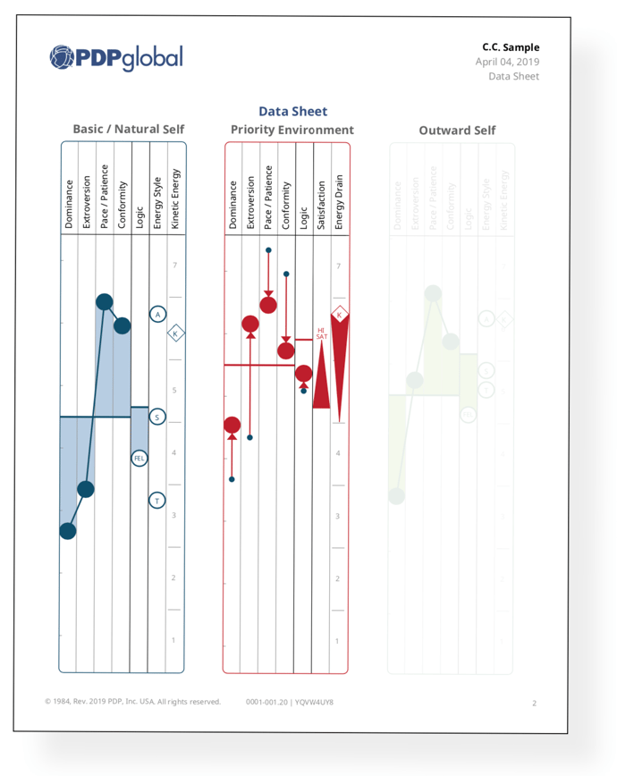 PDP Client APIs Integration | PDP Global